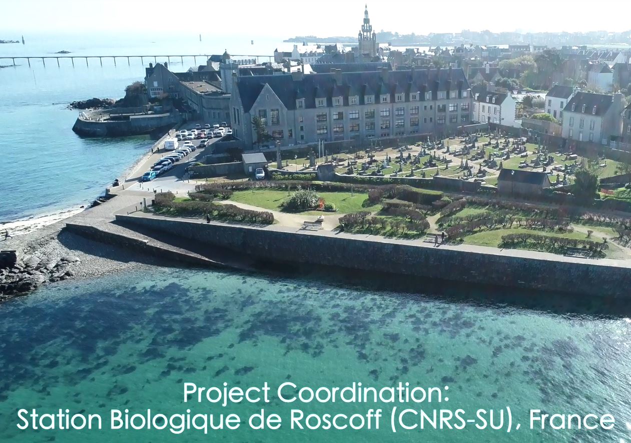 GENIALG Launches Promotional Video for Seaweed Biorefinery - GENIALG ...