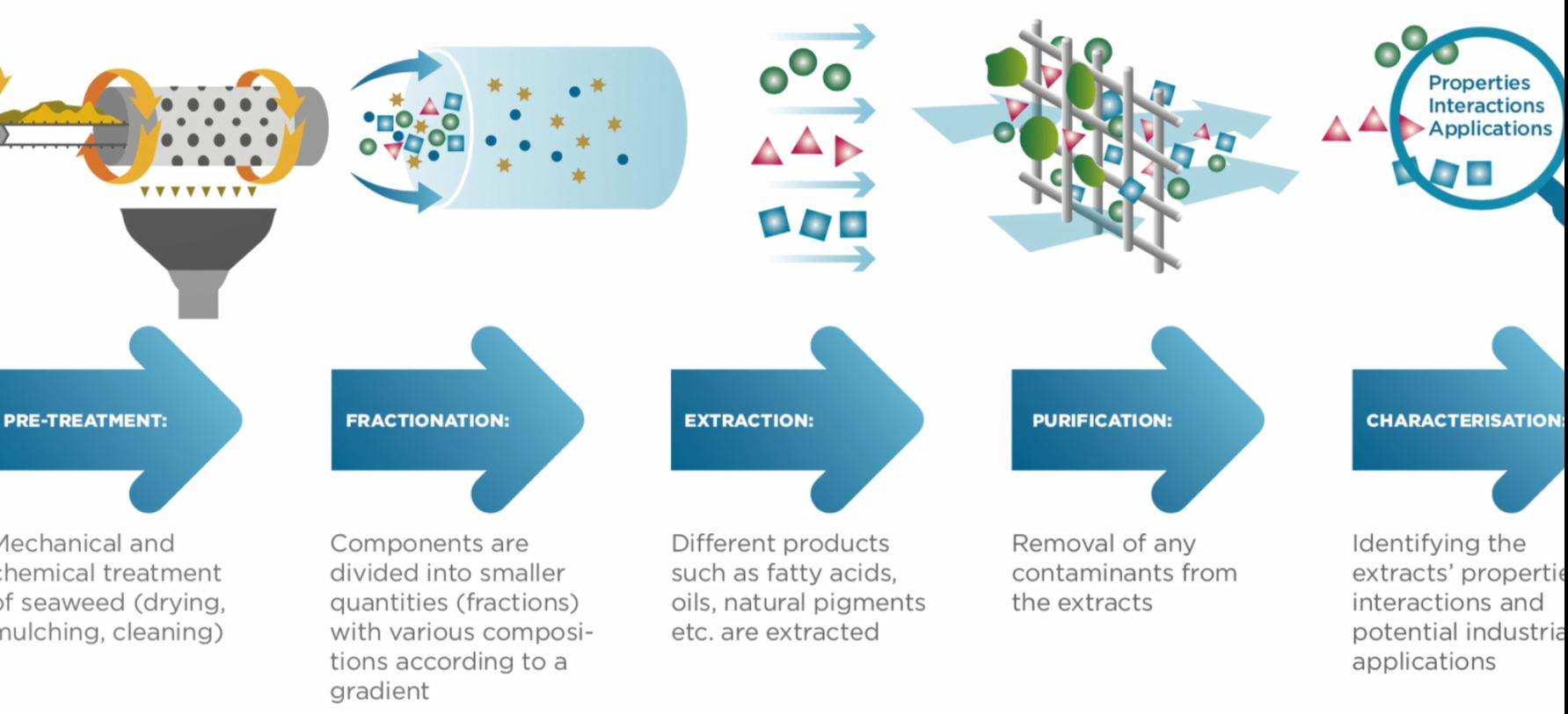 GENIALG Launches Promotional Video for Seaweed Biorefinery - GENIALG ...